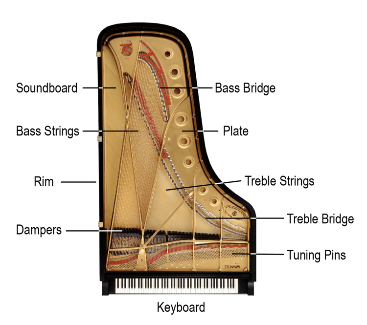 Understanding the Anatomy of a Piano: How It Works — Dark & Rich