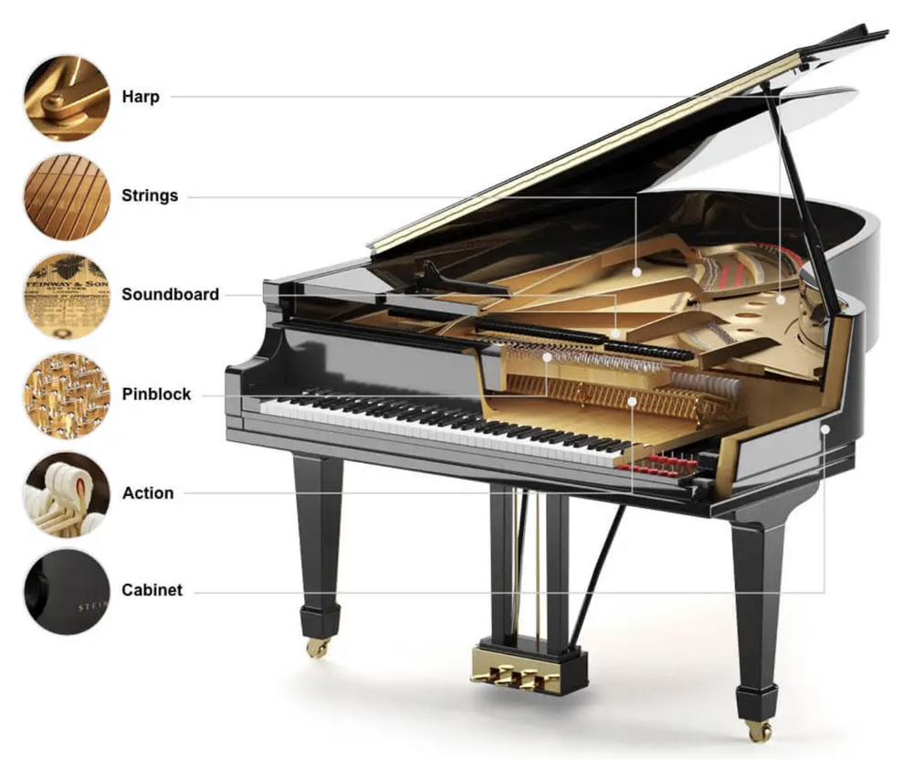 Understanding the Anatomy of a Piano: How It Works — Dark & Rich