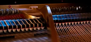 Understanding the Anatomy of a Piano: How It Works — Dark & Rich