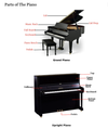 Understanding the Anatomy of a Piano: How It Works — Dark & Rich