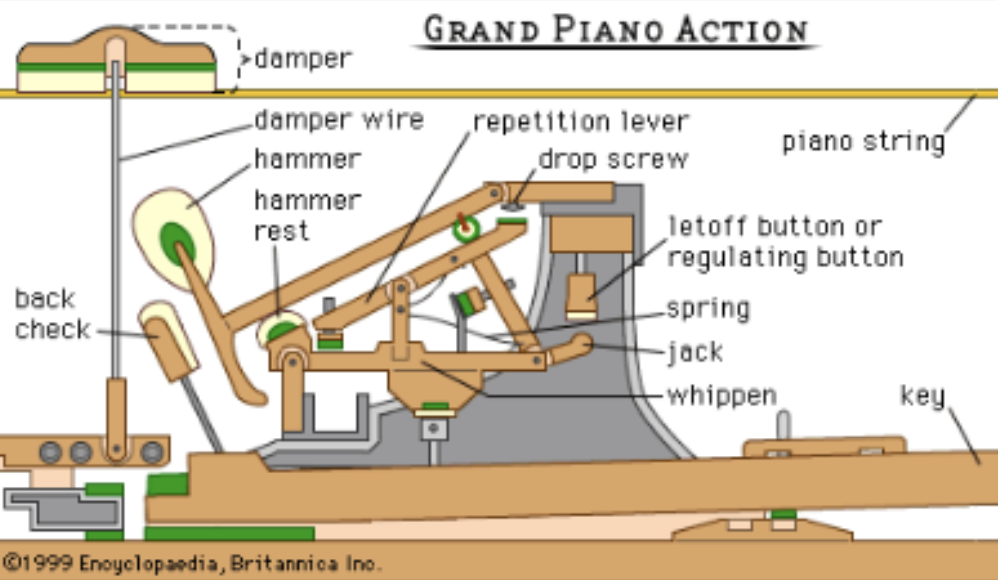 Understanding the Anatomy of a Piano: How It Works — Dark & Rich