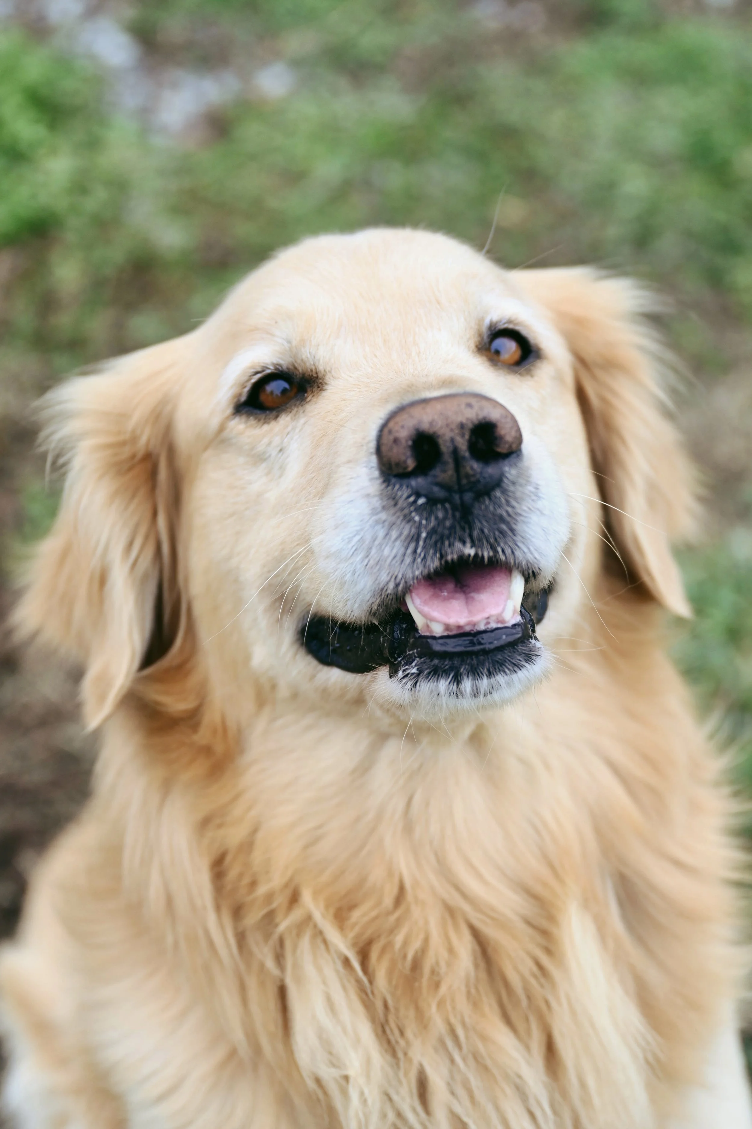 Highlands Log Structures | Build Your Dream Home Today