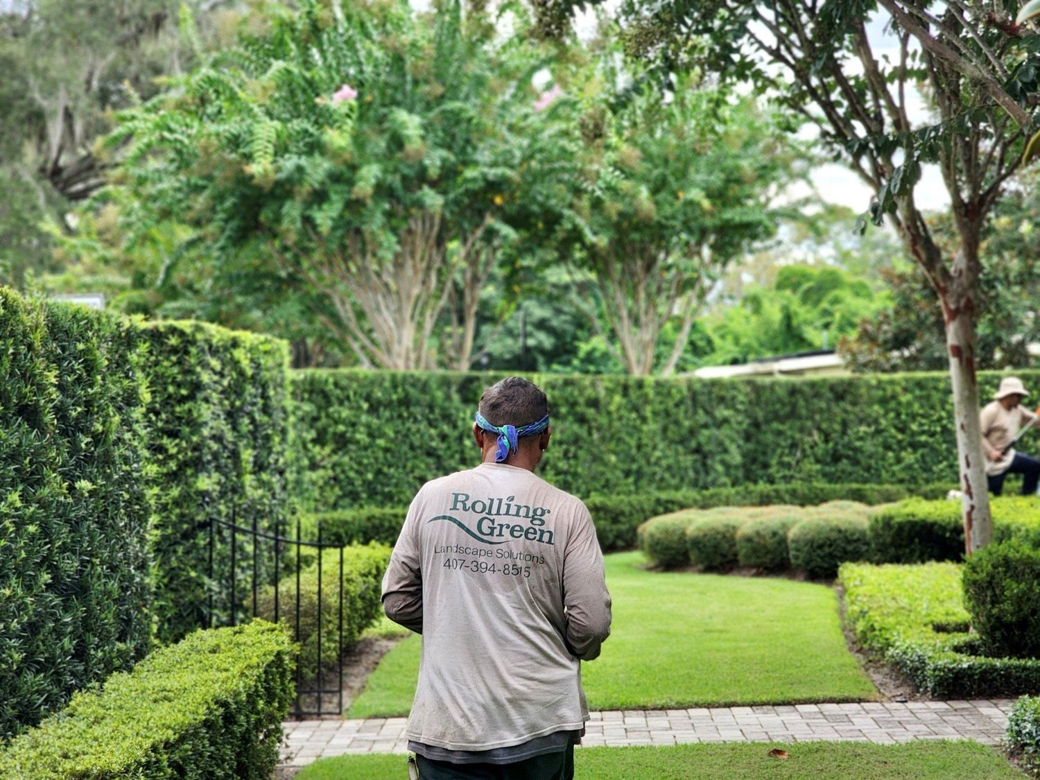 What We Do — Rolling Green Landscape