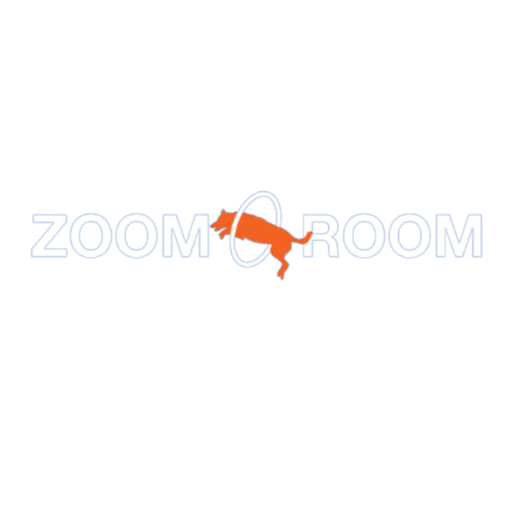 Zoom Room Sandy Springs