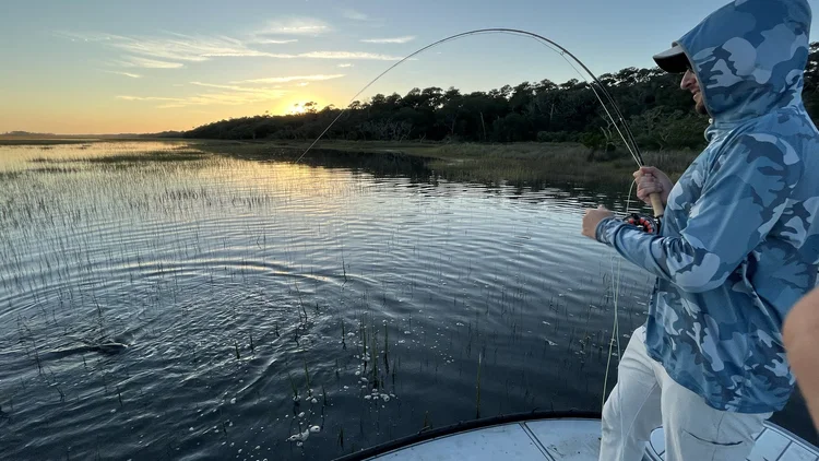 Fly Fish South Carolina: Beaufort, Hilton Head, Fripp Island, Edisto