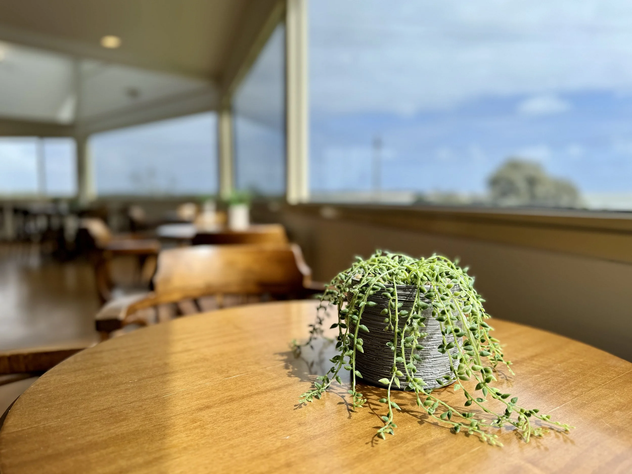 Beer Garden | Cocktail Bar | Food | The Sand Bar Inverloch