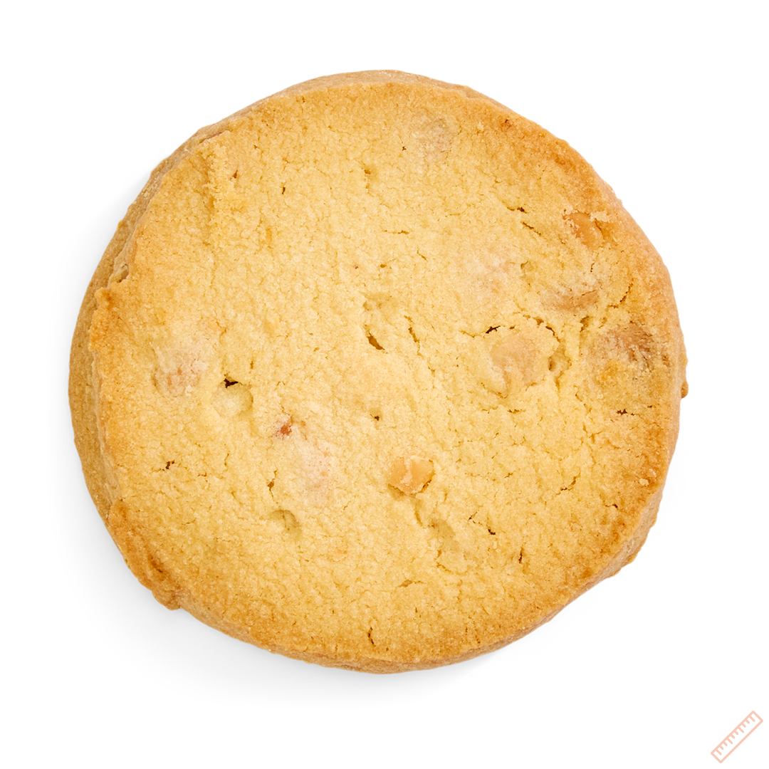 White Chocolate Macadamia Cookie — Gloria Jean's
