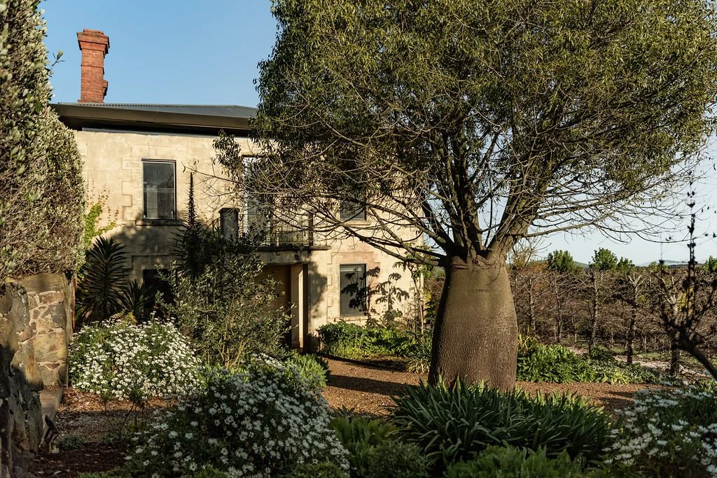 The Garden — Vale Hill House