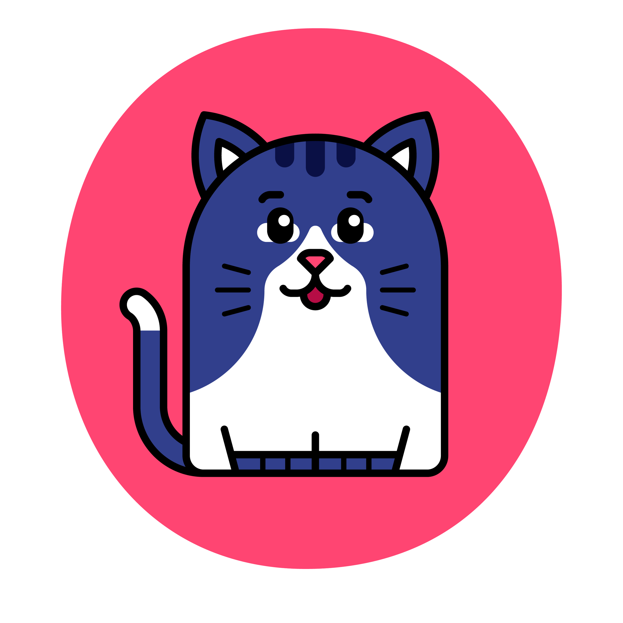 Boop - Making Pet Care Digital