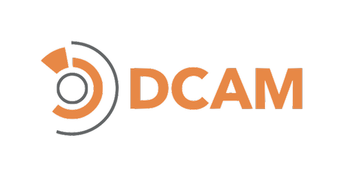 Data Maturity Assessments (DCAM, CDMC) — Element22