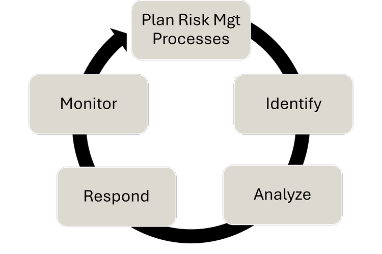 Program Risk, Issue and Opportunity Management for Defense Contractors ...