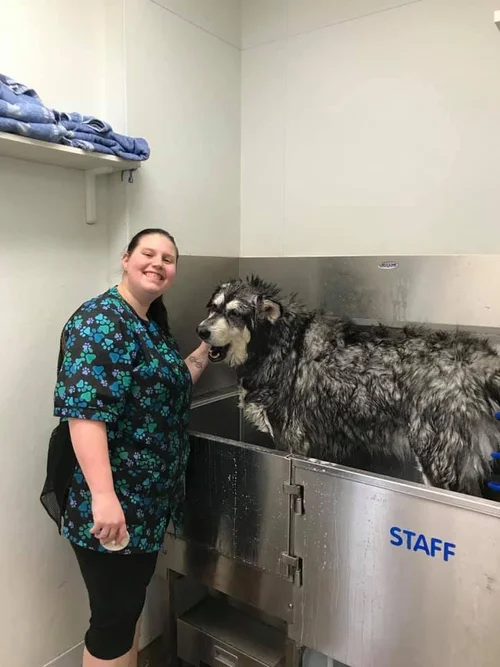 Pet Central Animal Hospital | Your local Veterinarian in Minneapolis
