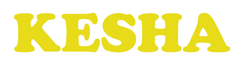 Tour — Kesha