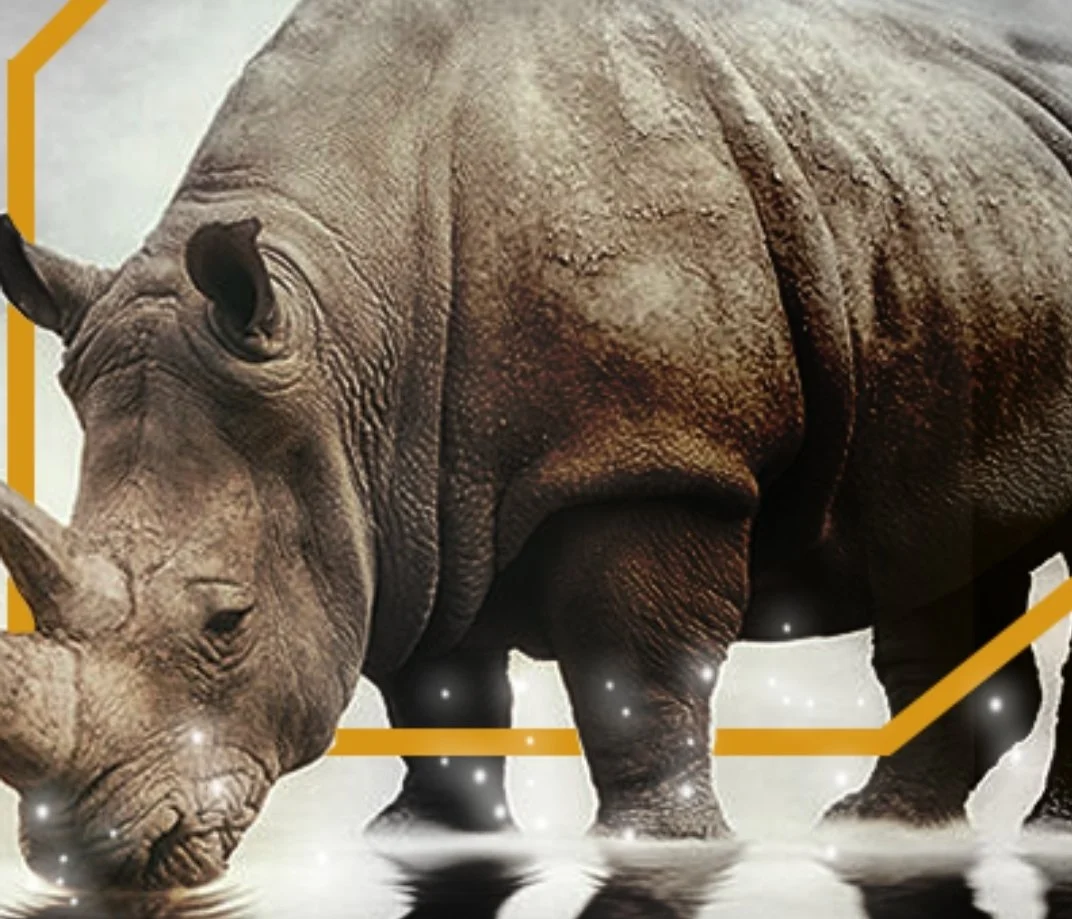 Quinntin Johnson Portfolio | Explore My Design Journey