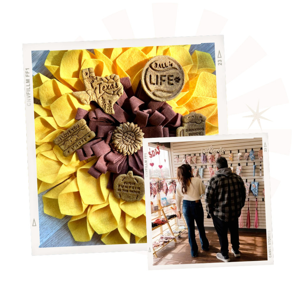 Sweet Pup Co. | Discover Quality Pet Accessories