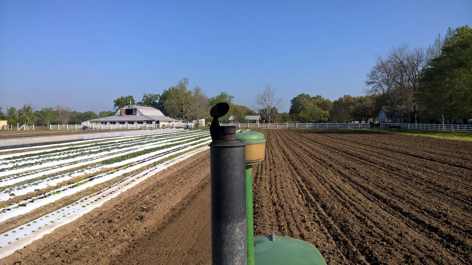 About — Berry Hill Farm Loranger Louisiana