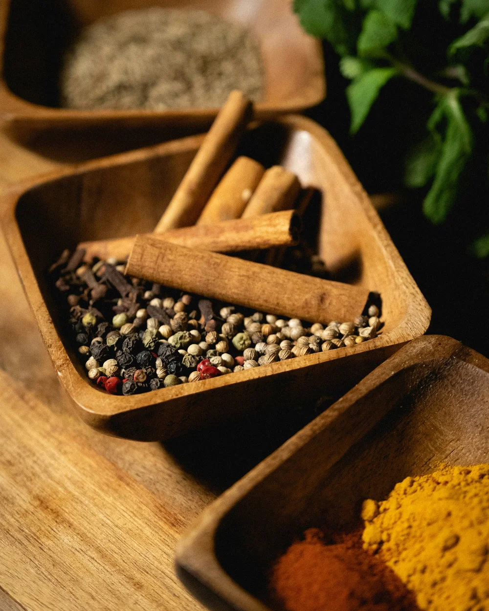 The Rise of Integrative Medicine — PURE EARTH HEALING