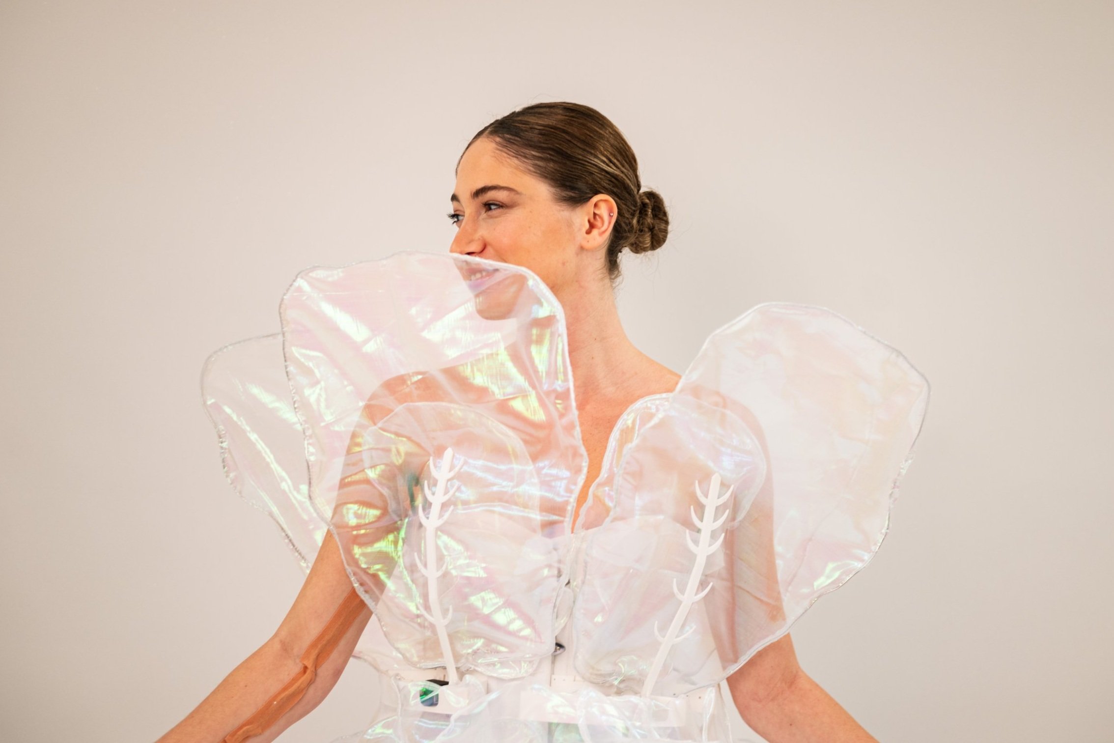 Peace Offer — Maia Hirsch