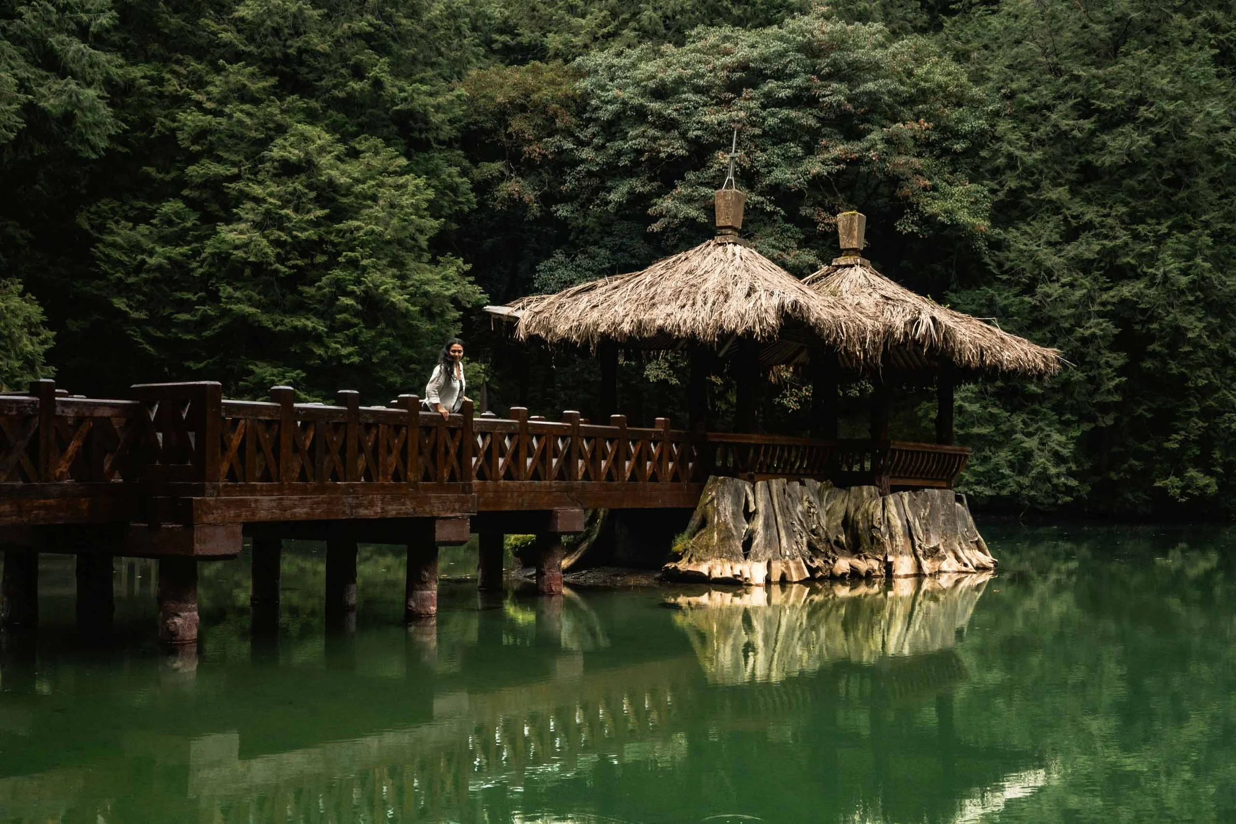 Discover Alishan: A Complete Guide to Taiwan’s Mountain Gem