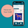 Equigate: Your Ultimate Equine Business Management Software App!