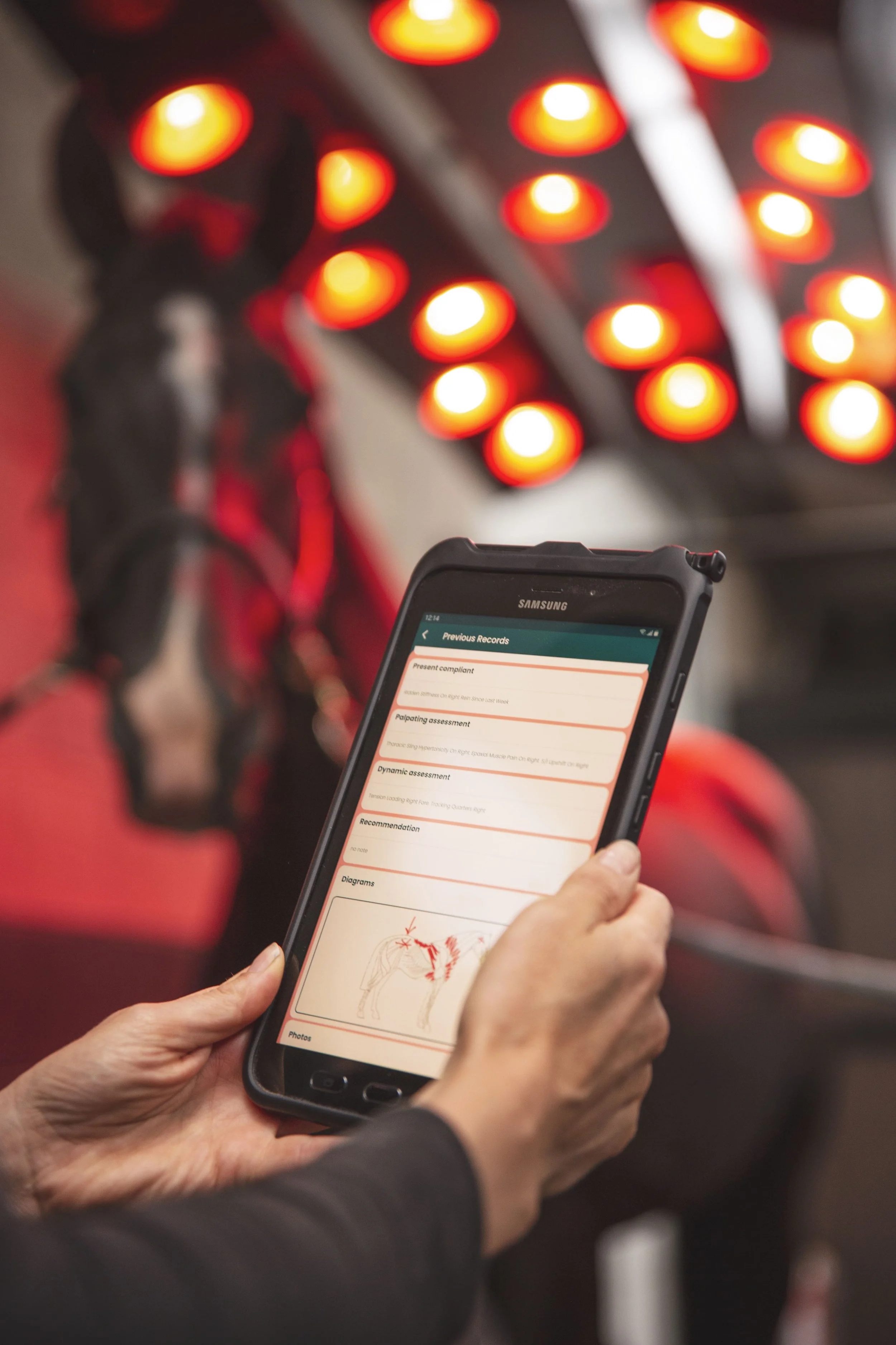Equine Business Record Keeping — Equigate