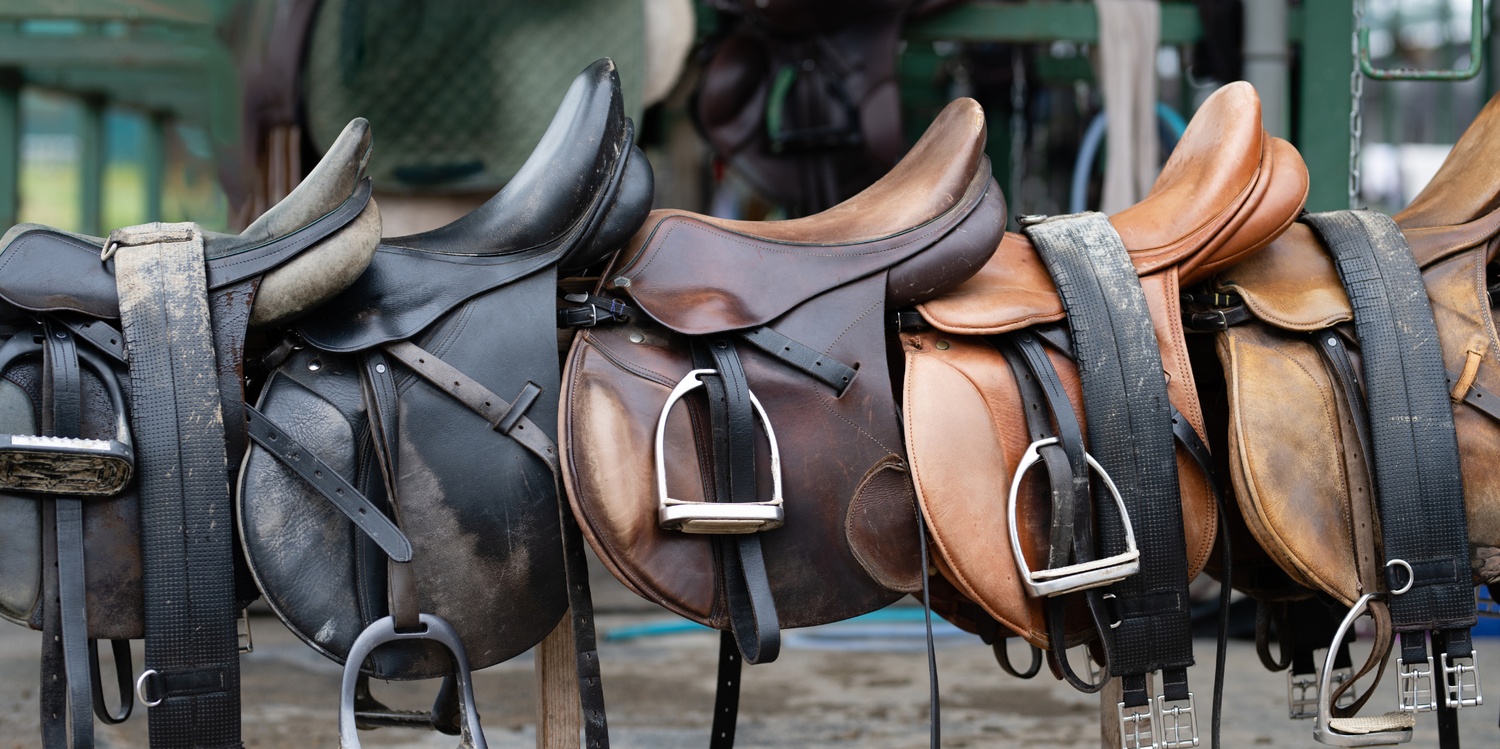 Find the Perfect Fit with our Saddle Fitter Tool — Equigate