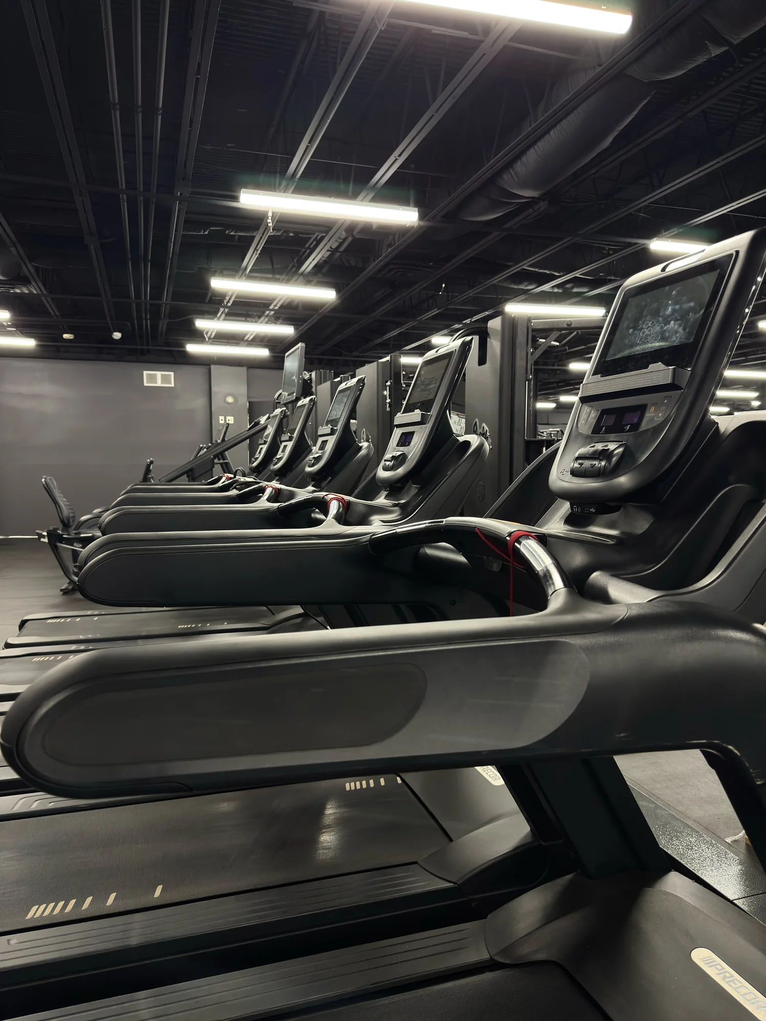 Champs Elysium Gym