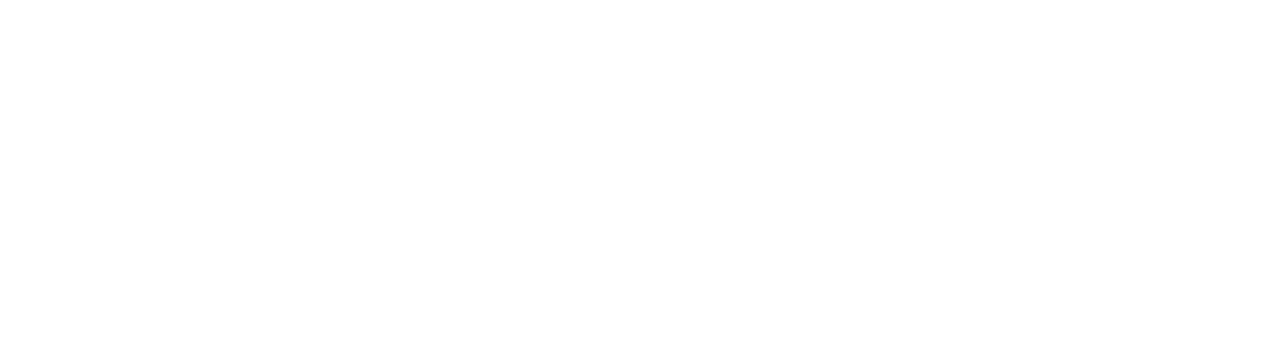 Supportive Living Inc.