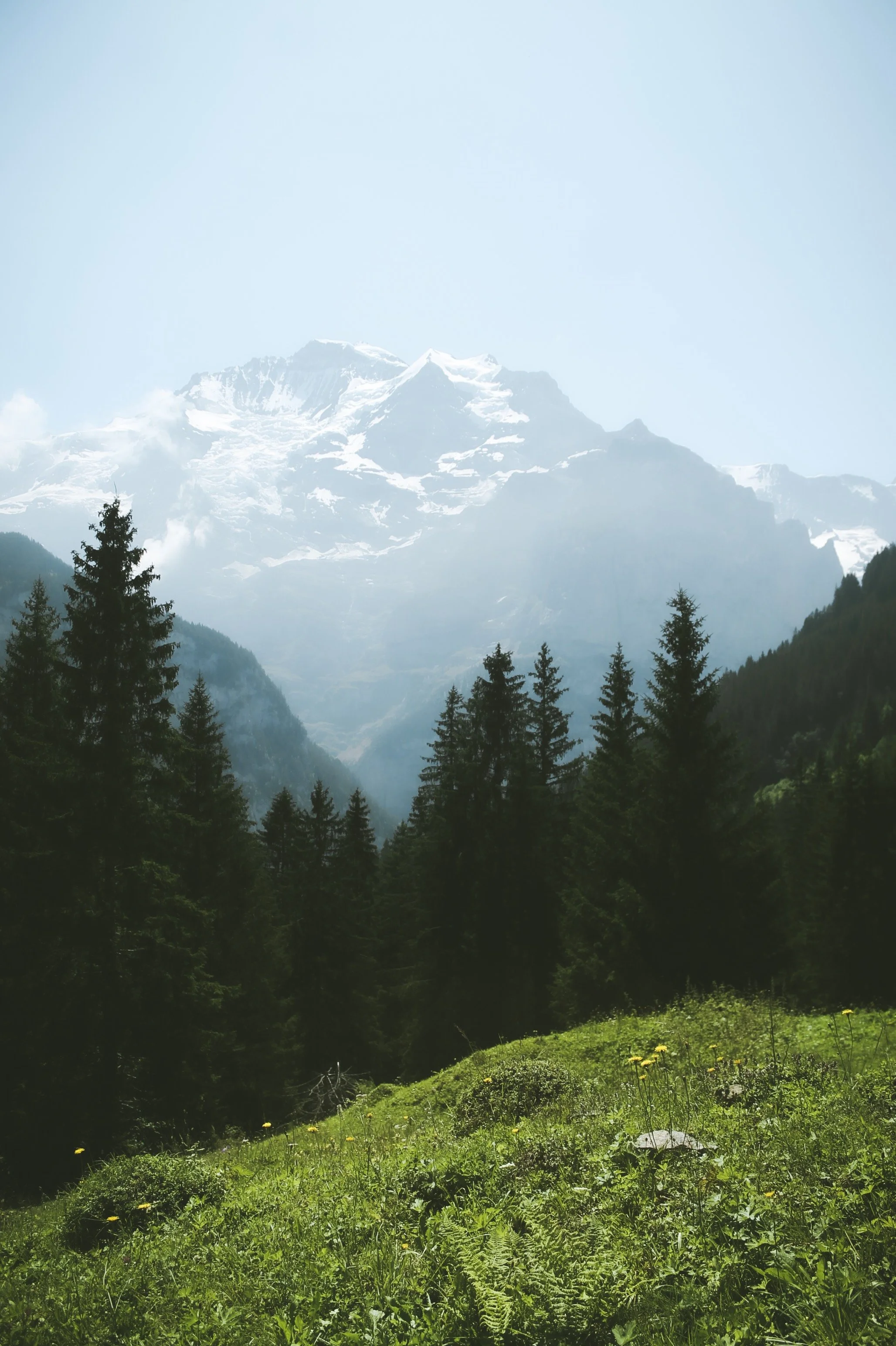 Lushfoil Photography Sim and the Photography of Matt Newell — Export ...