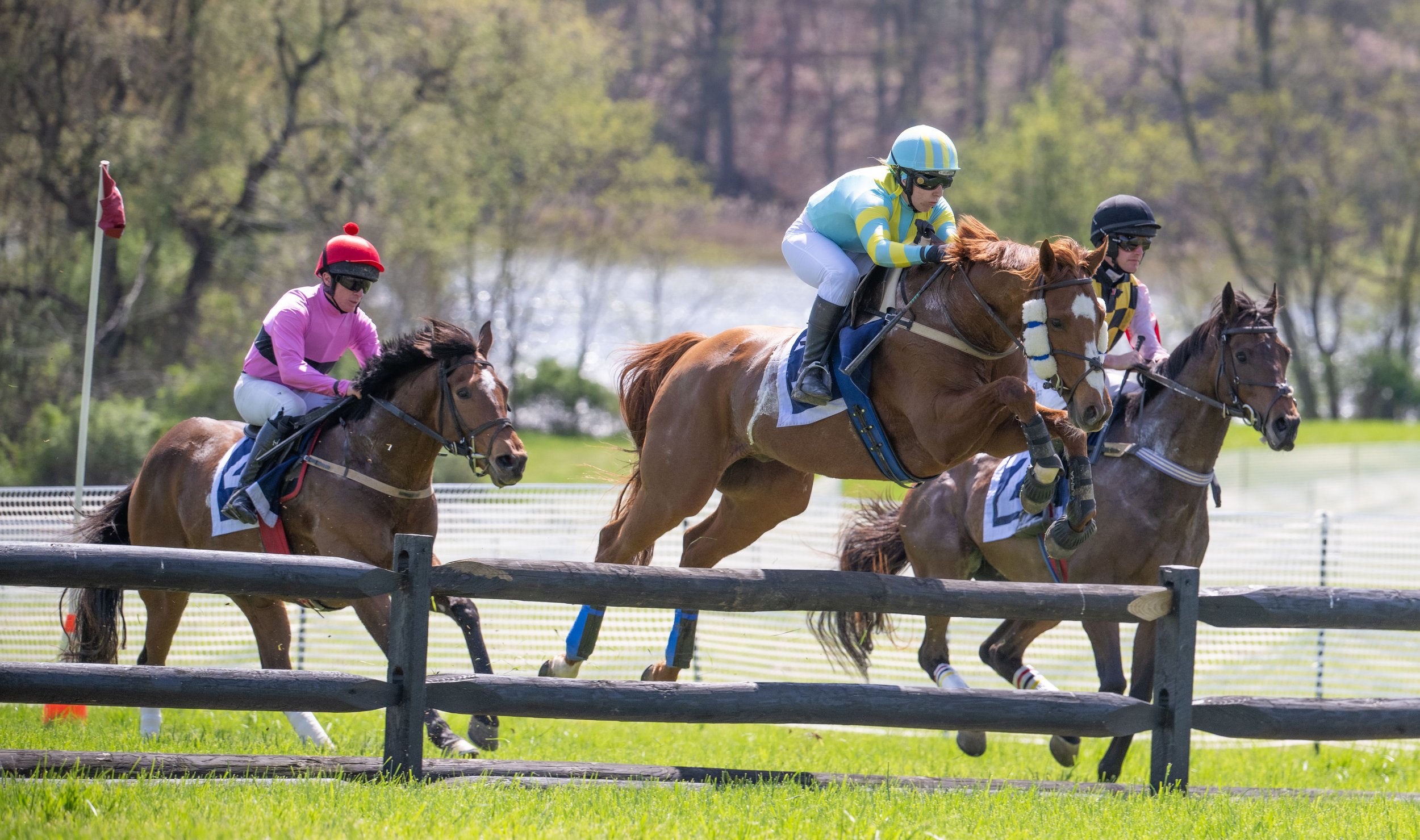 The Mount Harmon Wicomico Hunt Point-to-Point