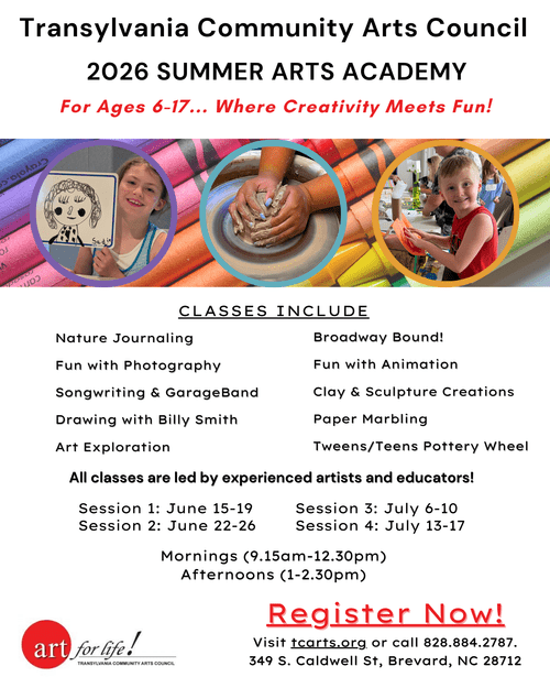 Summer Arts Academy | Join Summer Art Classes Today — Transylvania ...