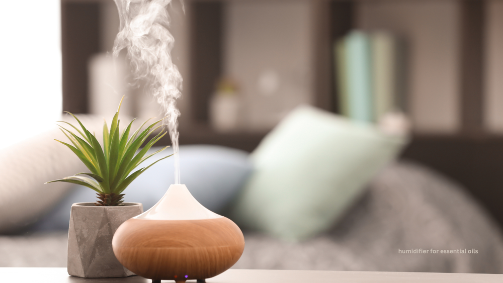 The Best Essential Oils for Humidifiers: An Easy Guide for Natural ...