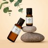 Essential Oils for Anal Fissures: A Natural Treatment Approach ...