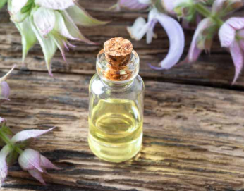 Essential Oils for Circulation — Essential Oils Articles