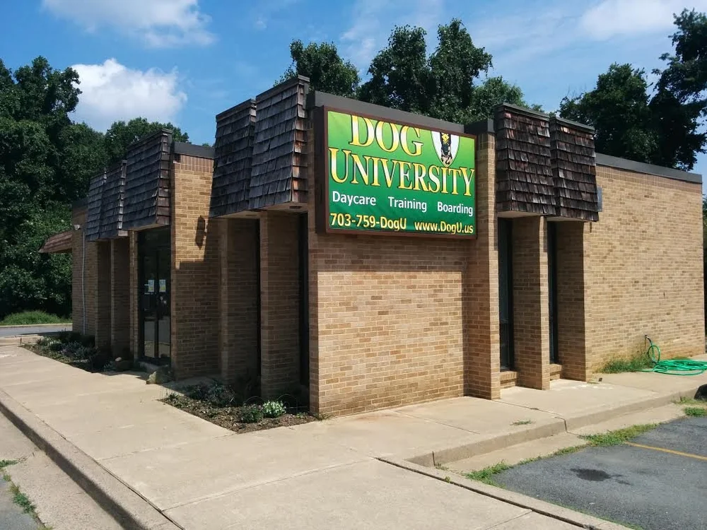 Dog University | Training, Daycare, and Boarding