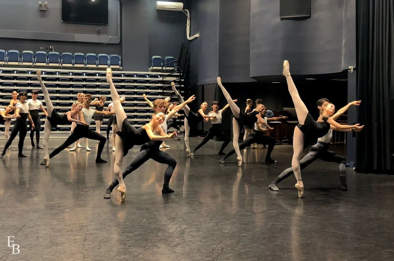 Ellison Ballet 4-Week Summer Intensive — Ellison Ballet
