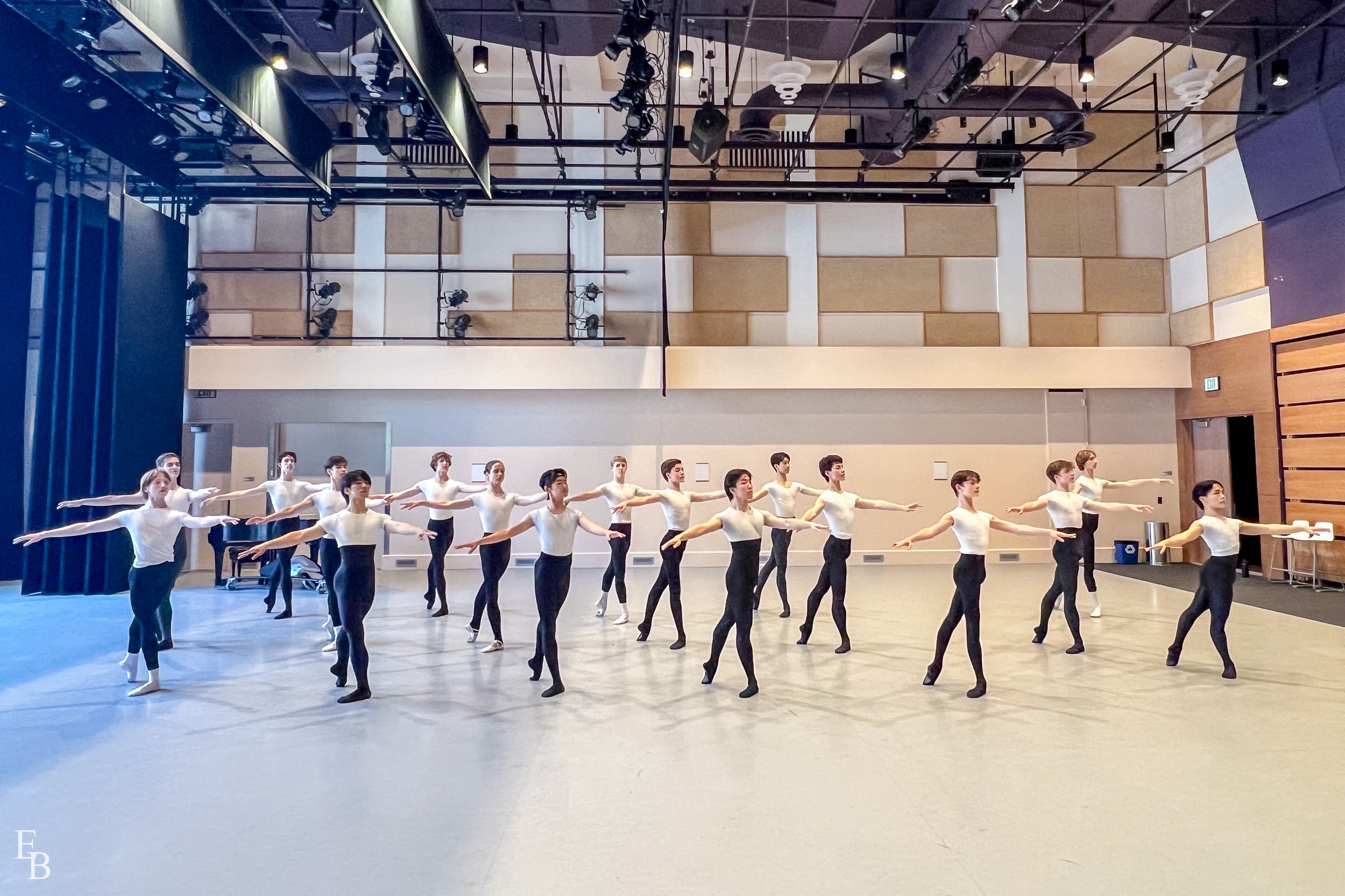 Premier Coaching Intensive — Ellison Ballet