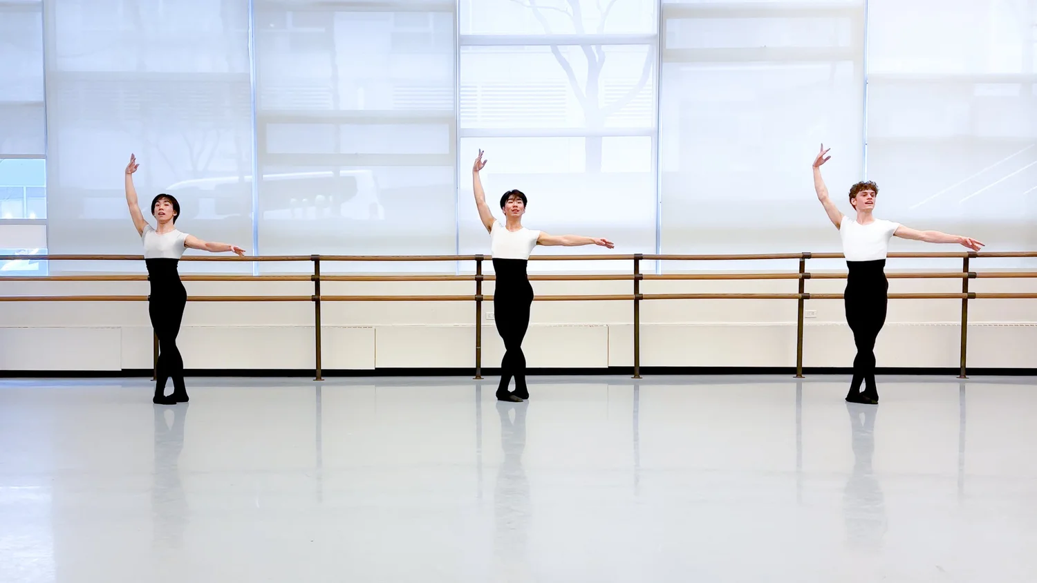 Professional Training Program Auditions — Ellison Ballet