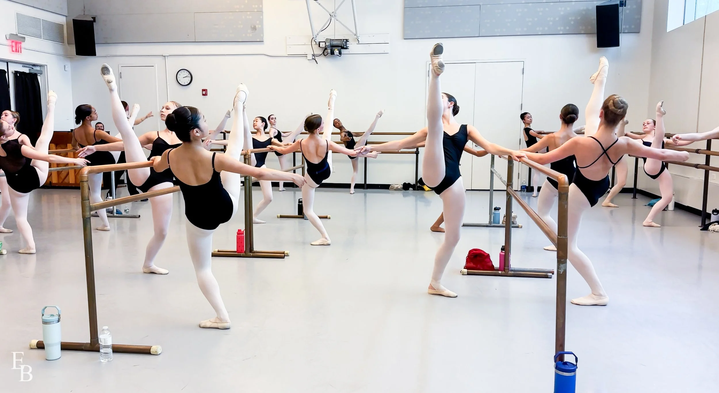 Ellison Ballet 4-Week Summer Intensive — Ellison Ballet