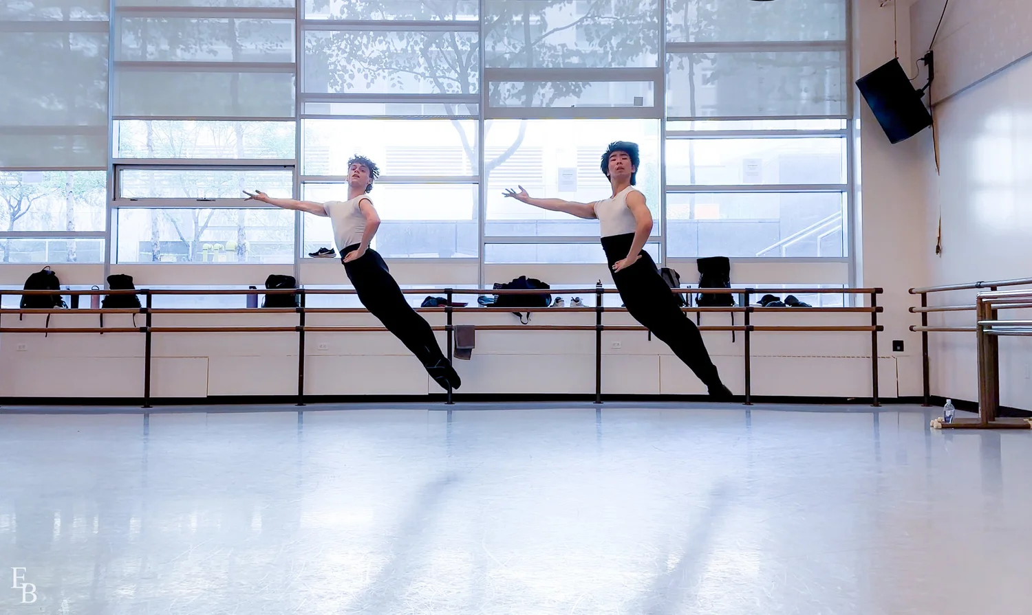 Ellison Ballet 4-Week Summer Intensive — Ellison Ballet