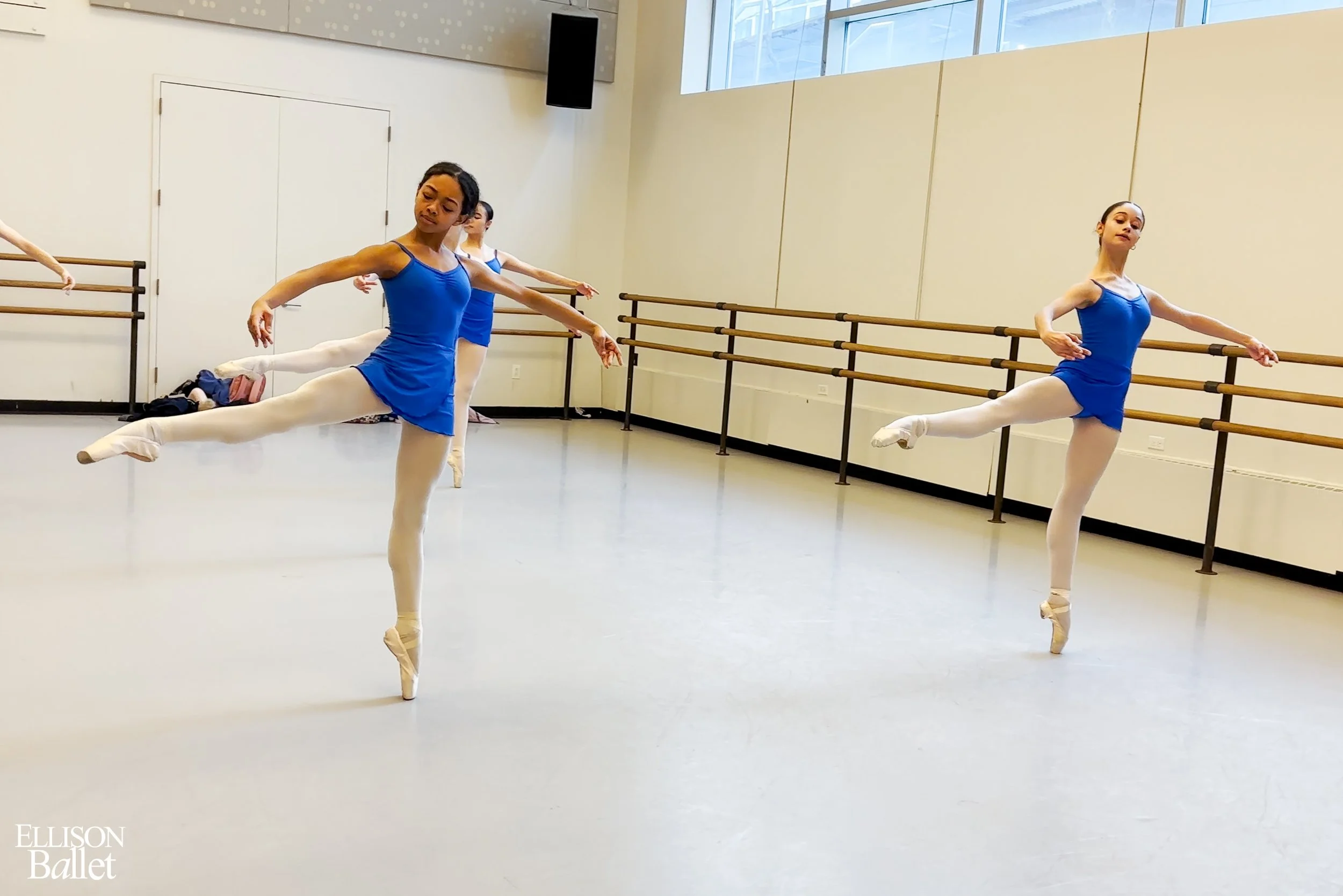 Professional Training Program Auditions — Ellison Ballet