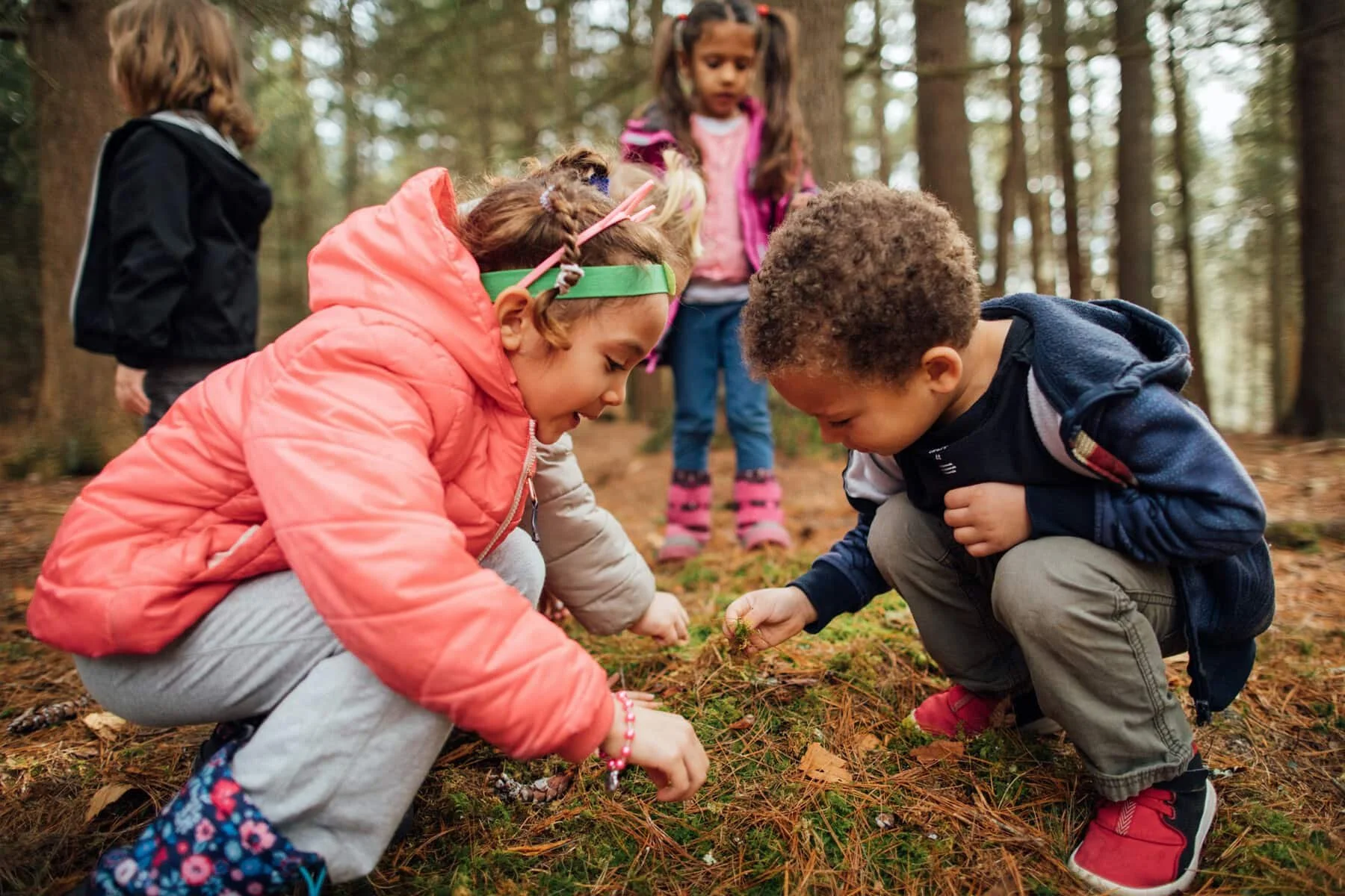 Homestead School | Montessori and Environmental Education in the ...