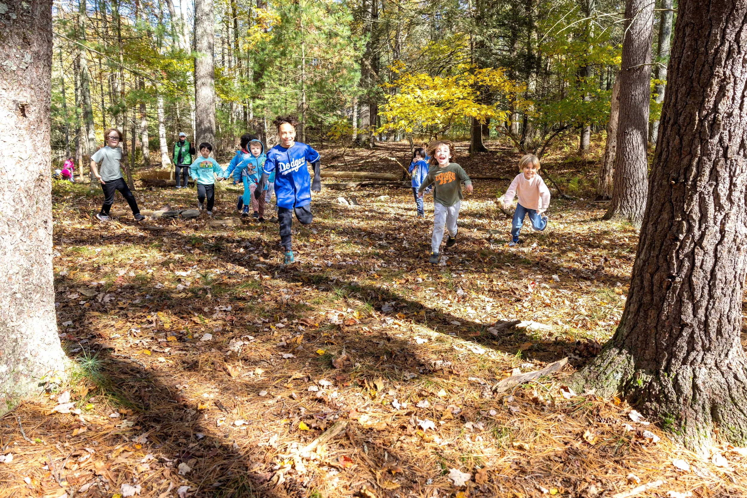 Homestead School | Montessori and Environmental Education in the ...
