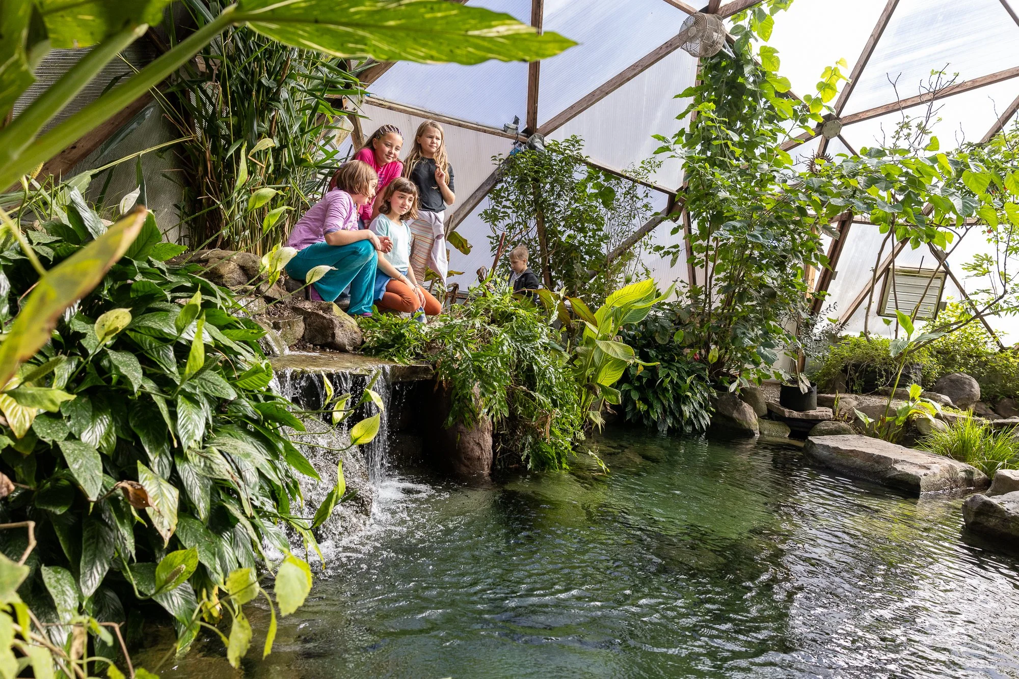 Homestead School | Montessori and Environmental Education in the ...