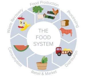 The Downeast Food System Partnership
