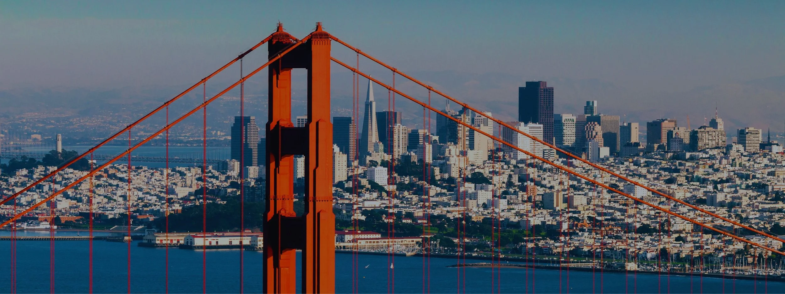 Work@Zammo — Zammo.ai