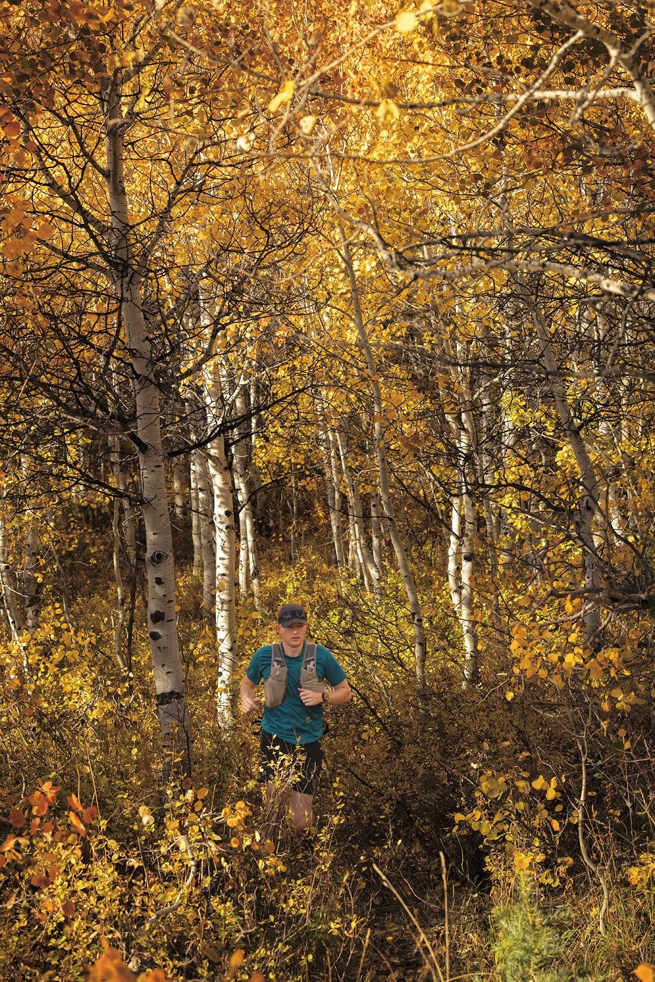 Gaspin through the aspens