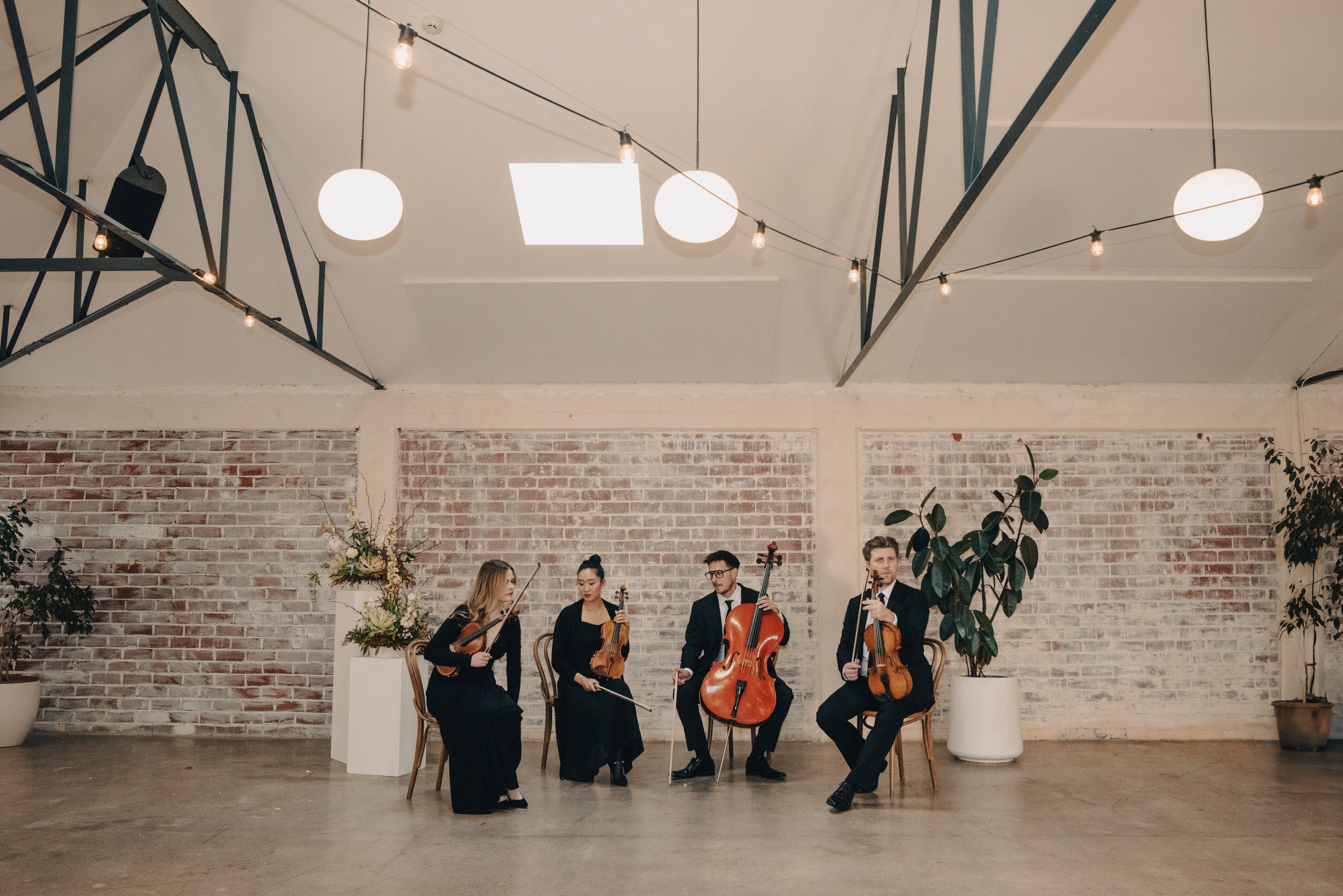 FAQ | Weddings, Events & Corporate Live Music | VIVID STRINGS