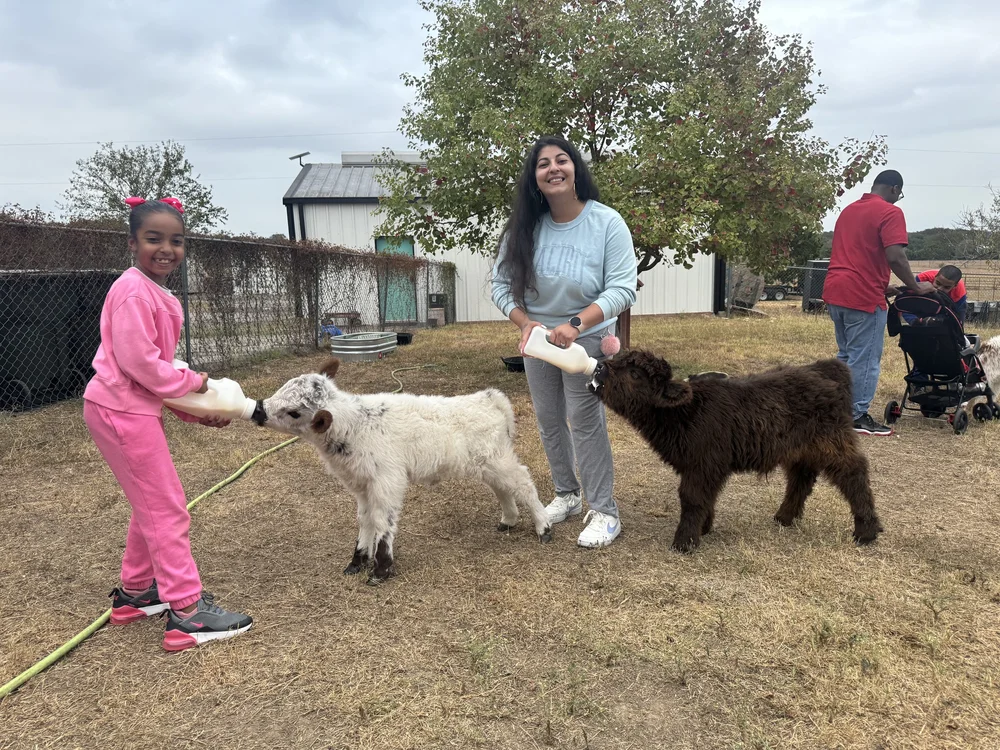 Appointments 2 — Highland Acres Homestead