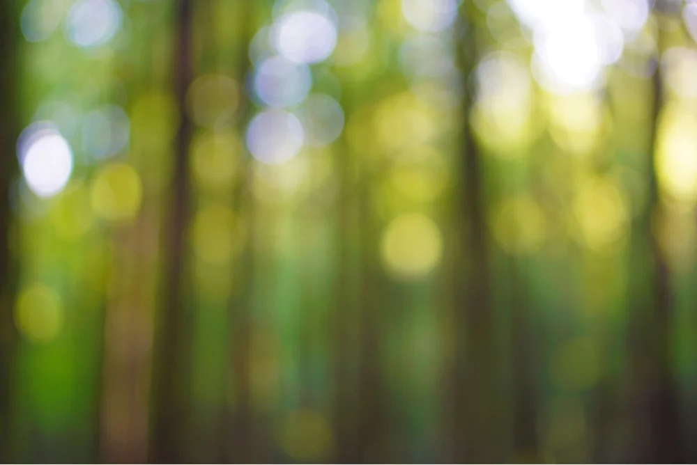 Trauma Healing | Jeffrey Rutstein, Psy.D. | Personal & Professional Support